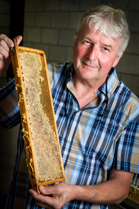 Passie – Biekeskorf